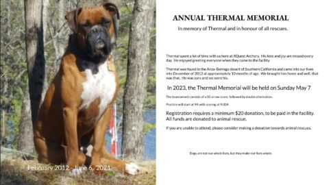 XQuest Archery - pro shop, group lessons and private coaching in Ottawa!