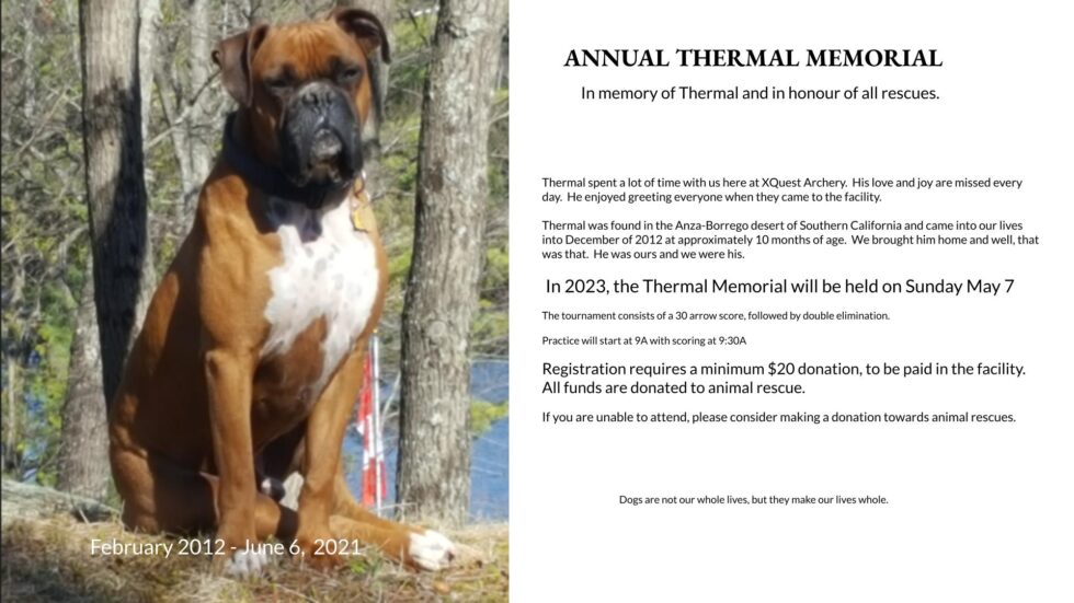 XQuest Archery - pro shop, group lessons and private coaching in Ottawa!